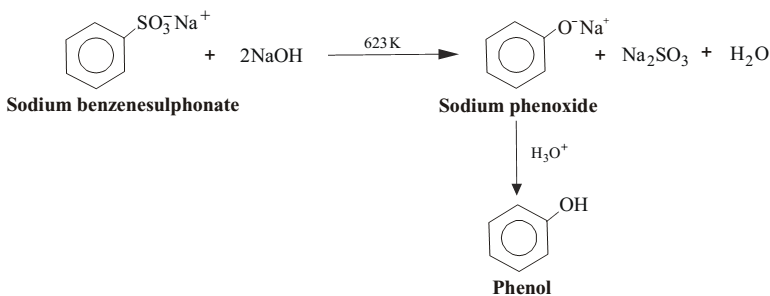 Alkali Fusion of Sodium Benzenesulphonate - Study Page
