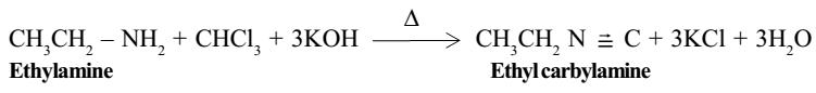 Carbylamine Reaction - Study Page