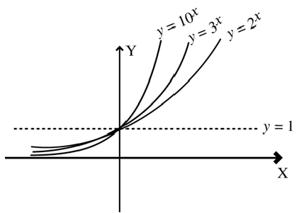 Exponential Functions - Study Page