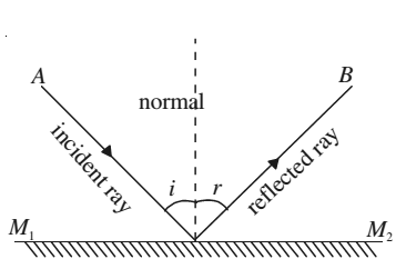 Laws of Reflection - Study Page